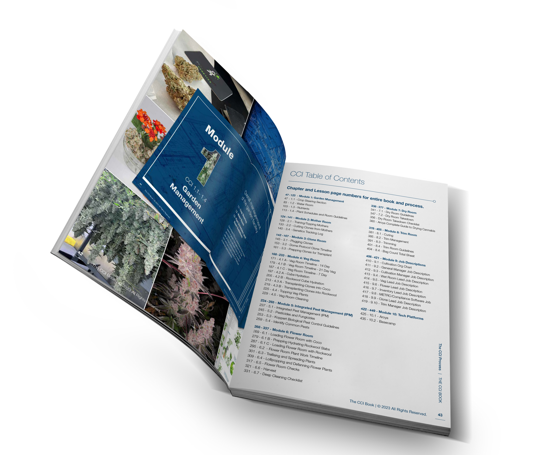 Buy The CCI Black Book (+ 4 FREE Downloads)