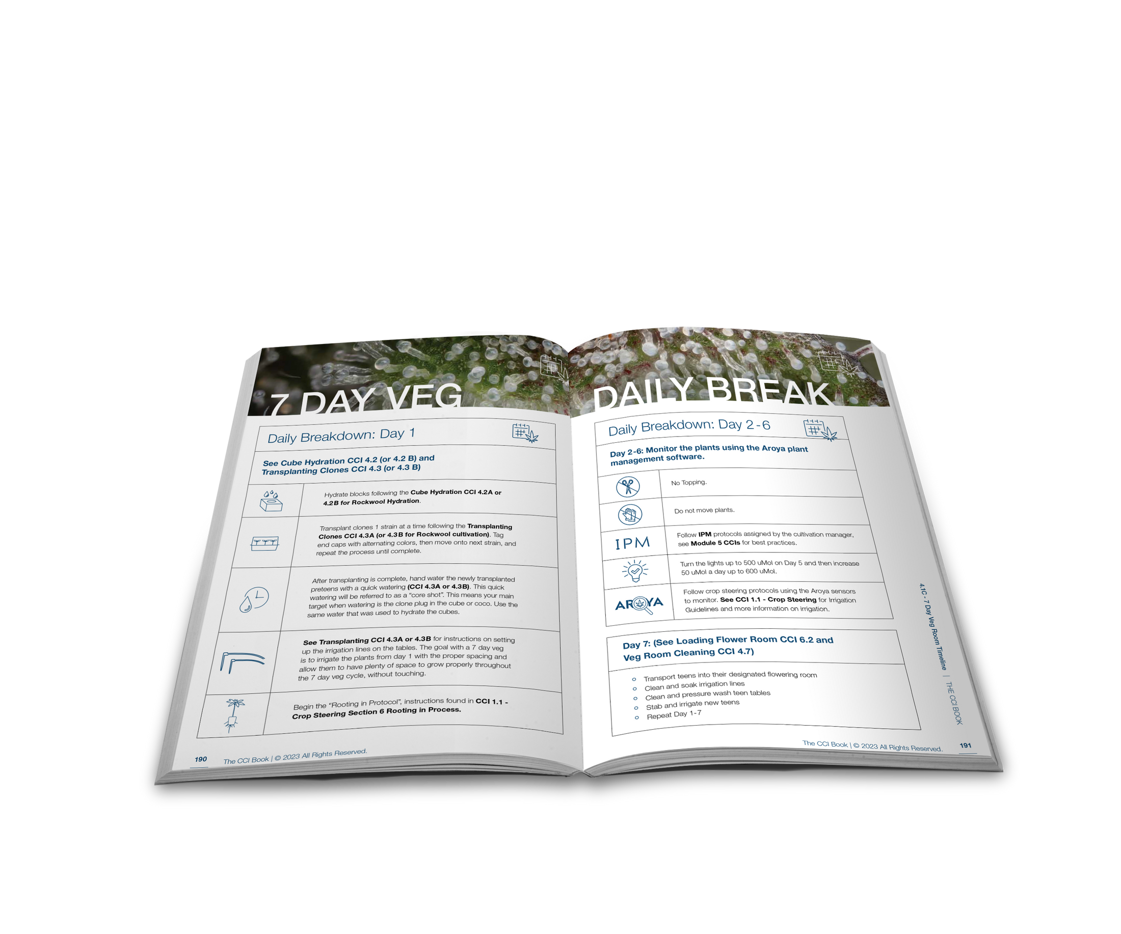 Buy The CCI Black Book (+ 4 FREE Downloads)